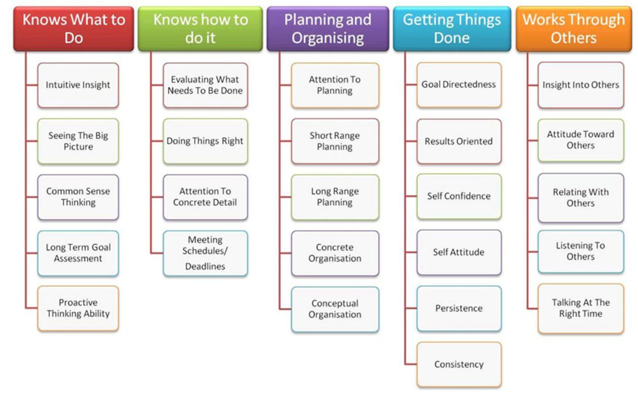 Team Dynamic | Catapult Solutions