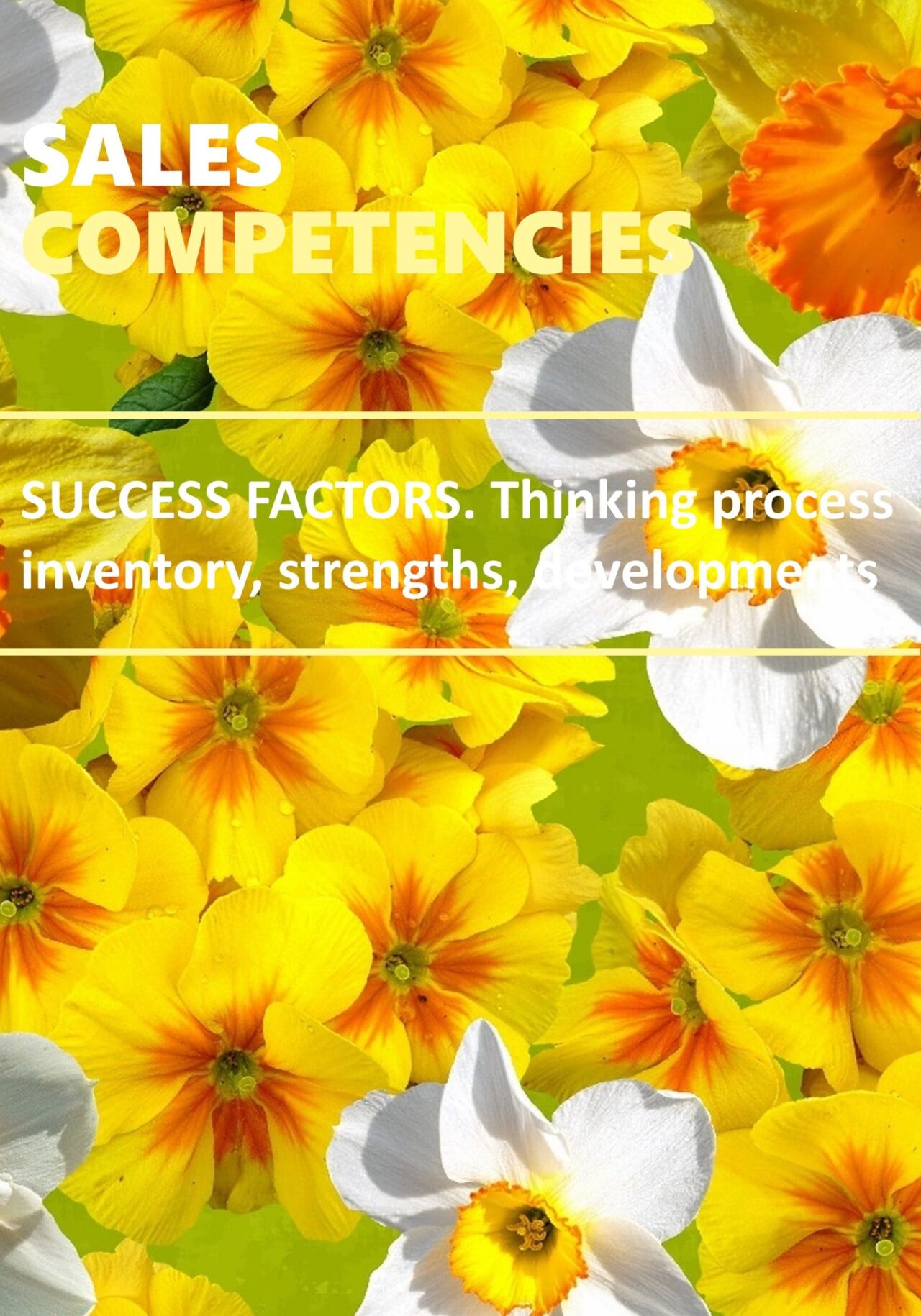 Culture Success Factors Reports | Catapult Solutions